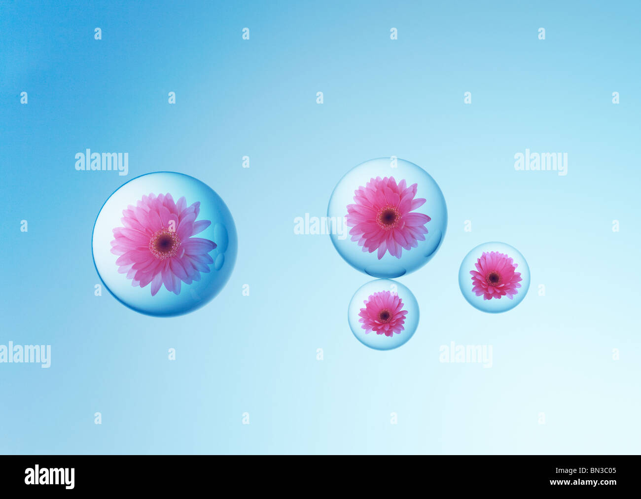 Flowers within sphere Stock Photo - Alamy