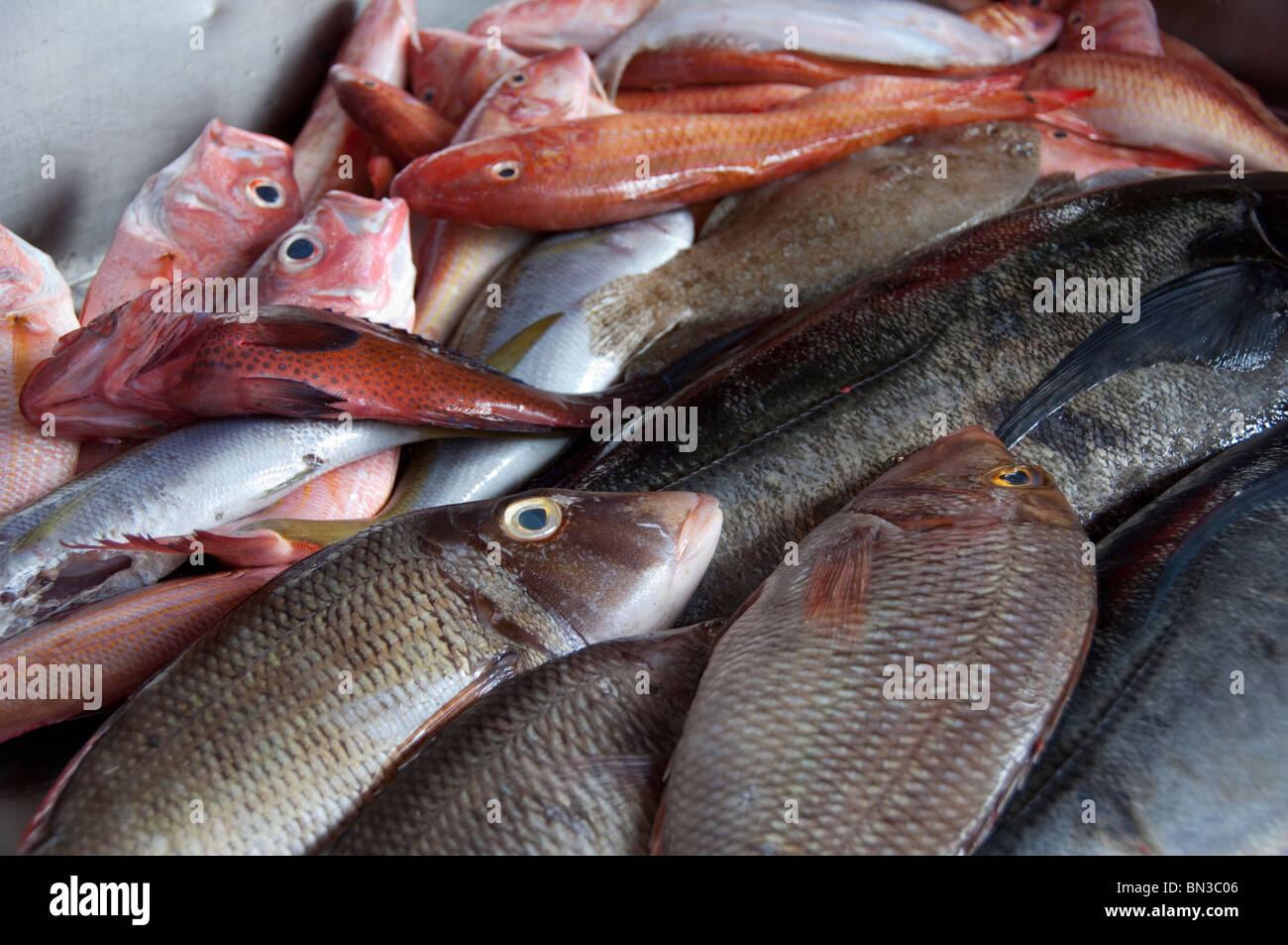 Cape Verde Islands, Sao Vicente, Mindelo (aka Porto Grande). Downtown ...