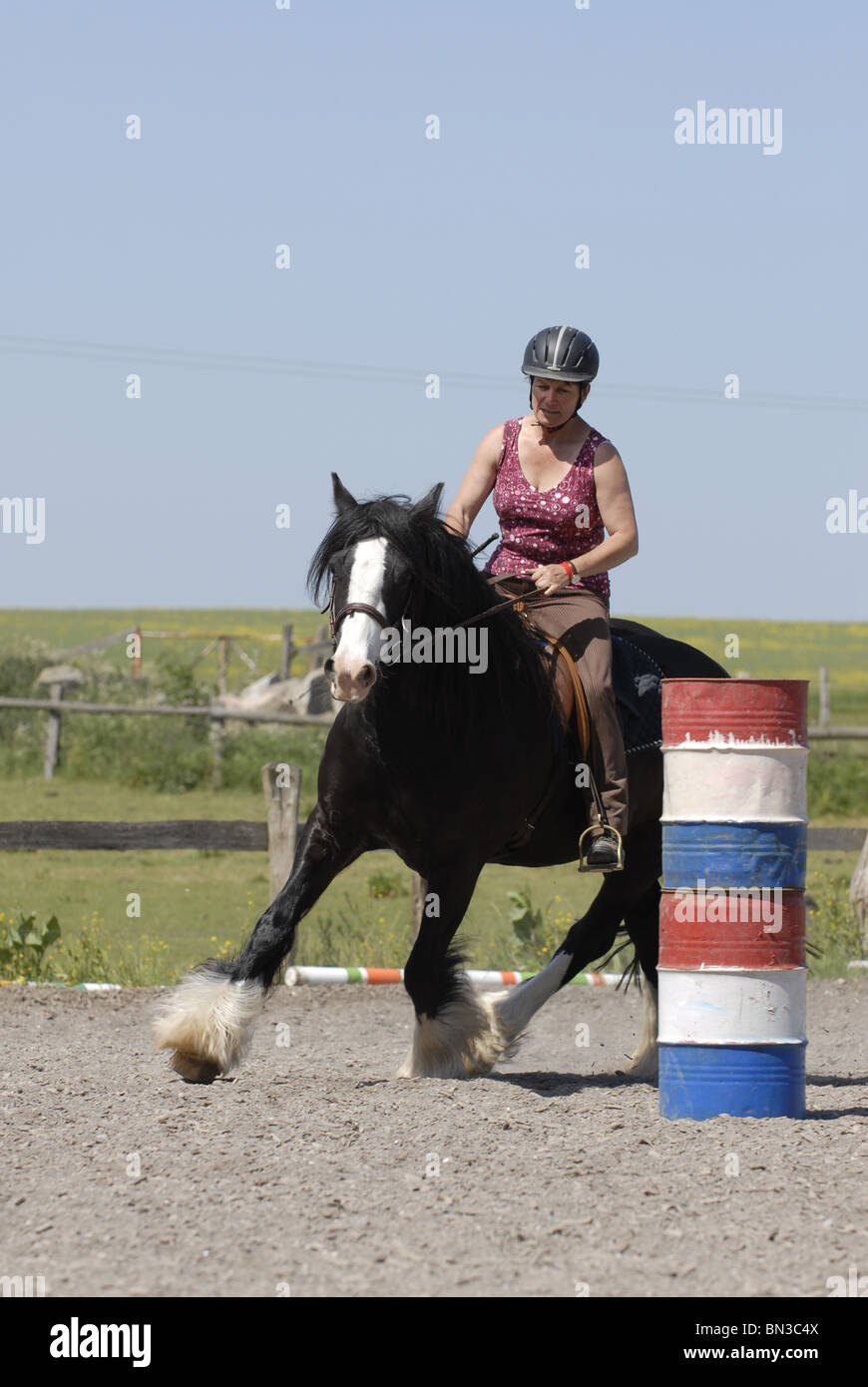 Gypsy trotting race gypsy horse hi-res stock photography and images - Alamy