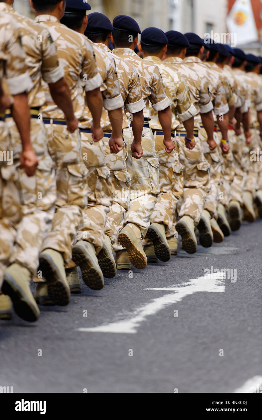 The Royal Logistic Corps on parade Stock Photo - Alamy