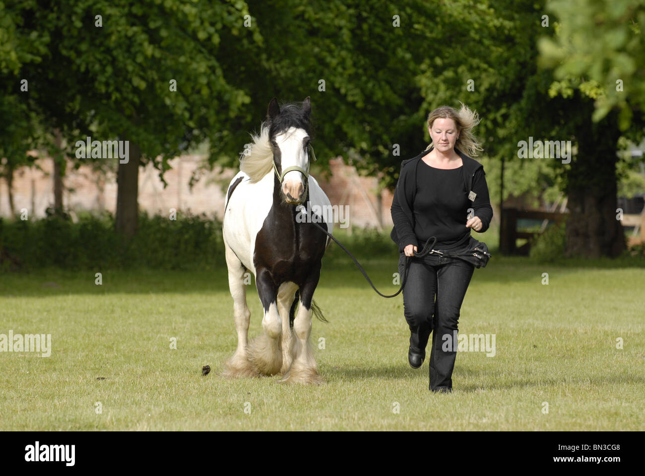 Irish traveller women hi-res stock photography and images - Alamy