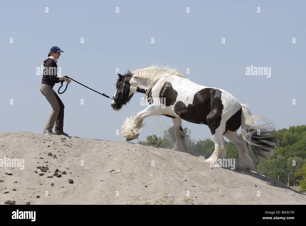 woman with Irish Tinker Stock Photo - Alamy