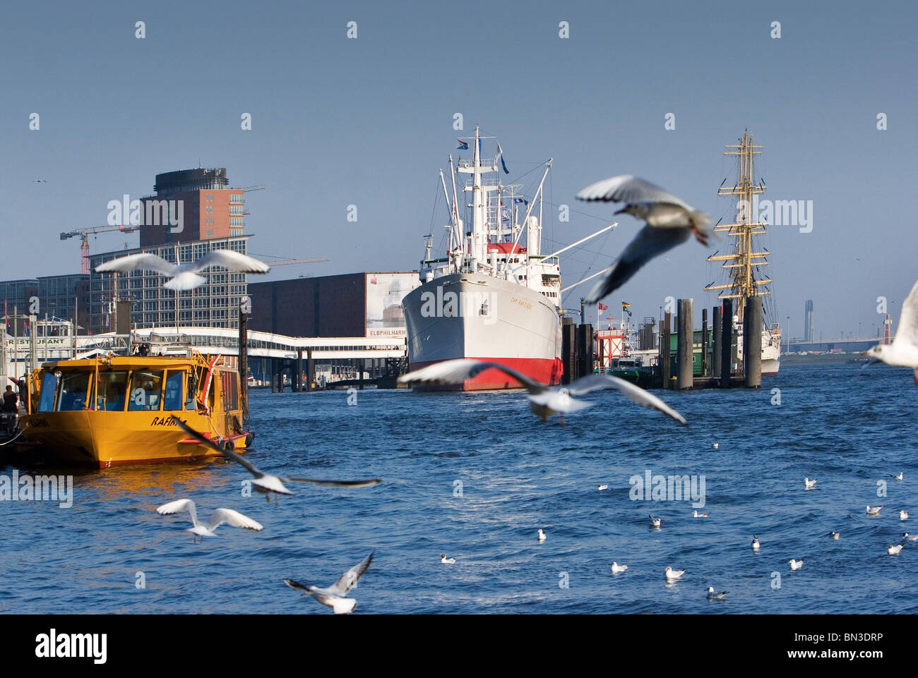 Barge and museum ship in Hamburg harbour, gulls flying in the ...