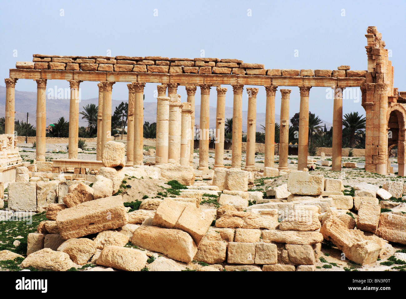 Remains of ancient city of Palmyra in Syria Stock Photo - Alamy