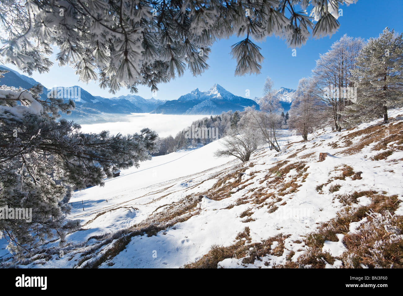 Winter landscape in the Berchtesgaden Alps, Watzmann in the background ...