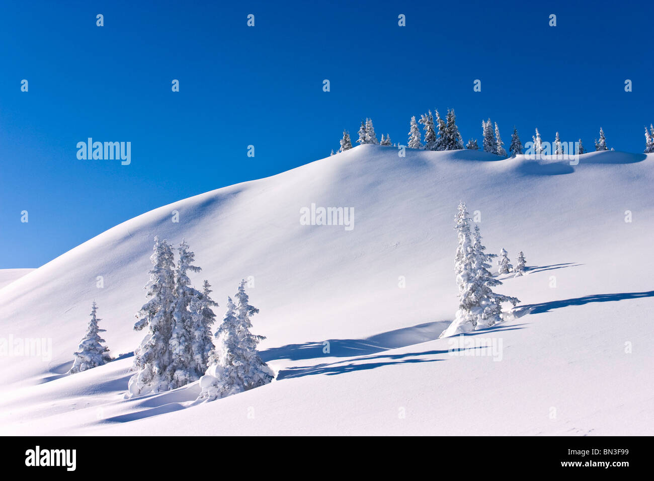 Winter landscape at Schneeberg, Muehlbach am Hochkoenig, Austria Stock ...