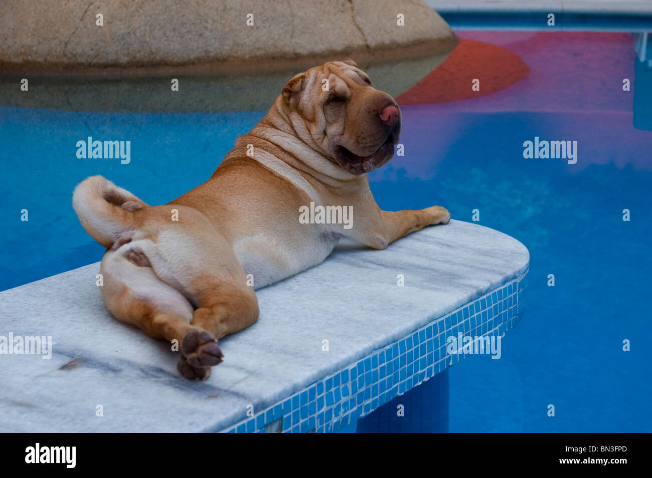 Old acapulco hi-res stock photography and images - Alamy