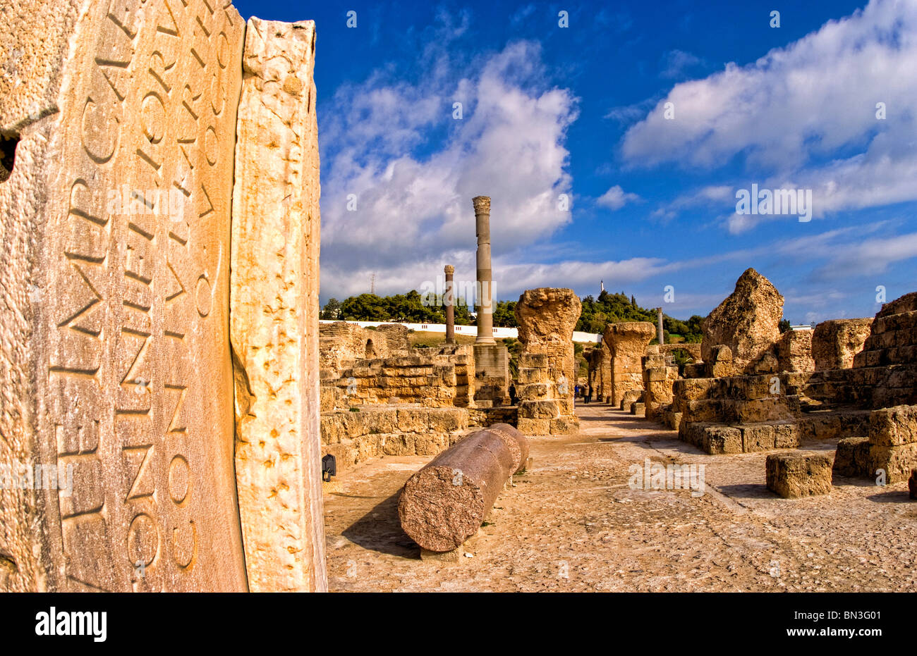 Ruins of a roman bath, Carthage, Tunisia, Africa Stock Photo - Alamy