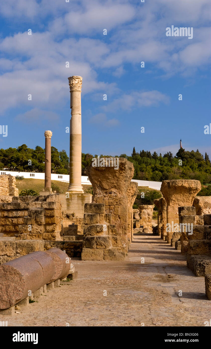 Ruins of a roman bath, Carthage, Tunisia, Africa Stock Photo - Alamy