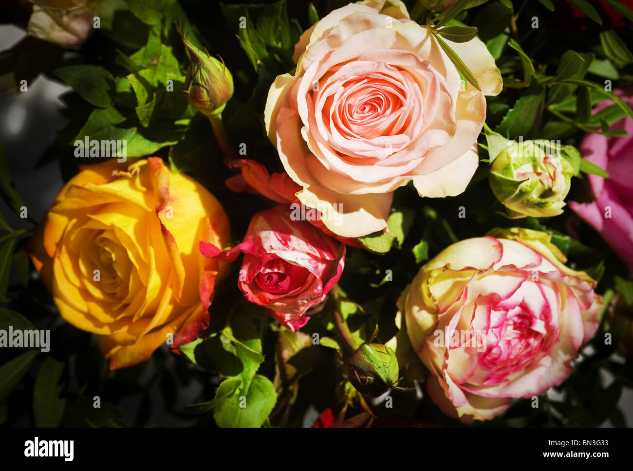 Bunch of rose flowers Stock Photo - Alamy