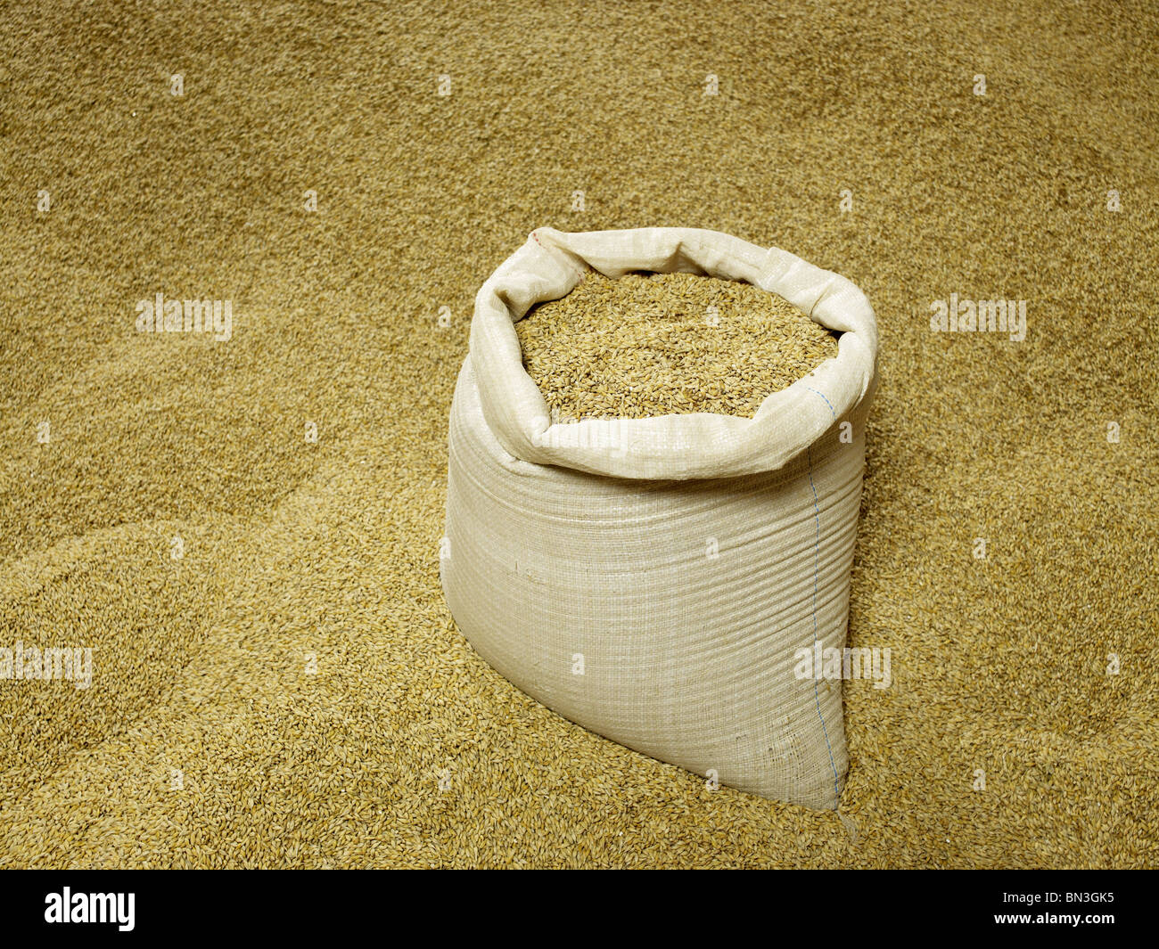 Barley in a bag Stock Photo - Alamy