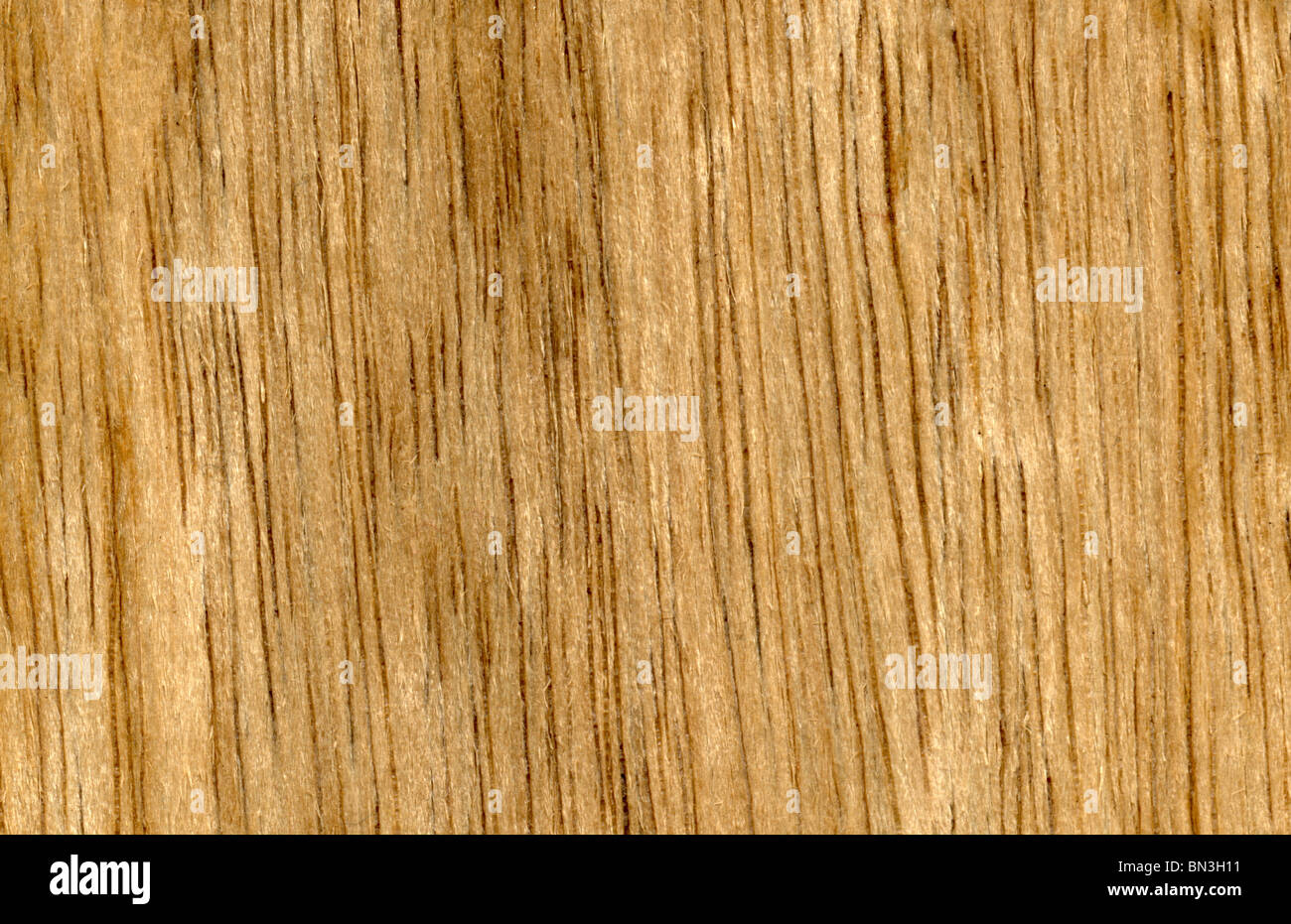 Limba wood grain, Terminalia superba, Africa Stock Photo - Alamy