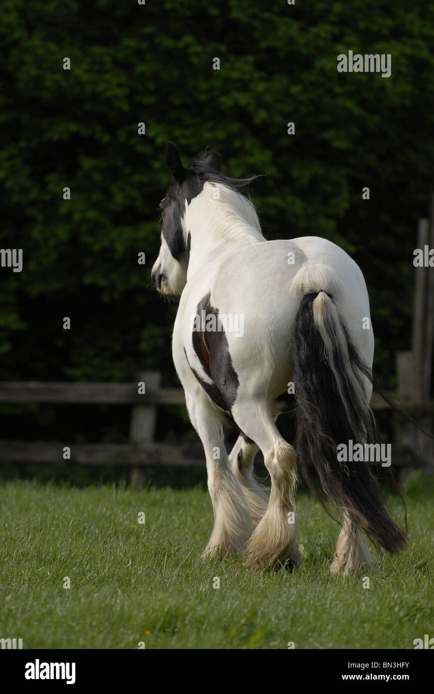 Tinker walks hi-res stock photography and images - Alamy
