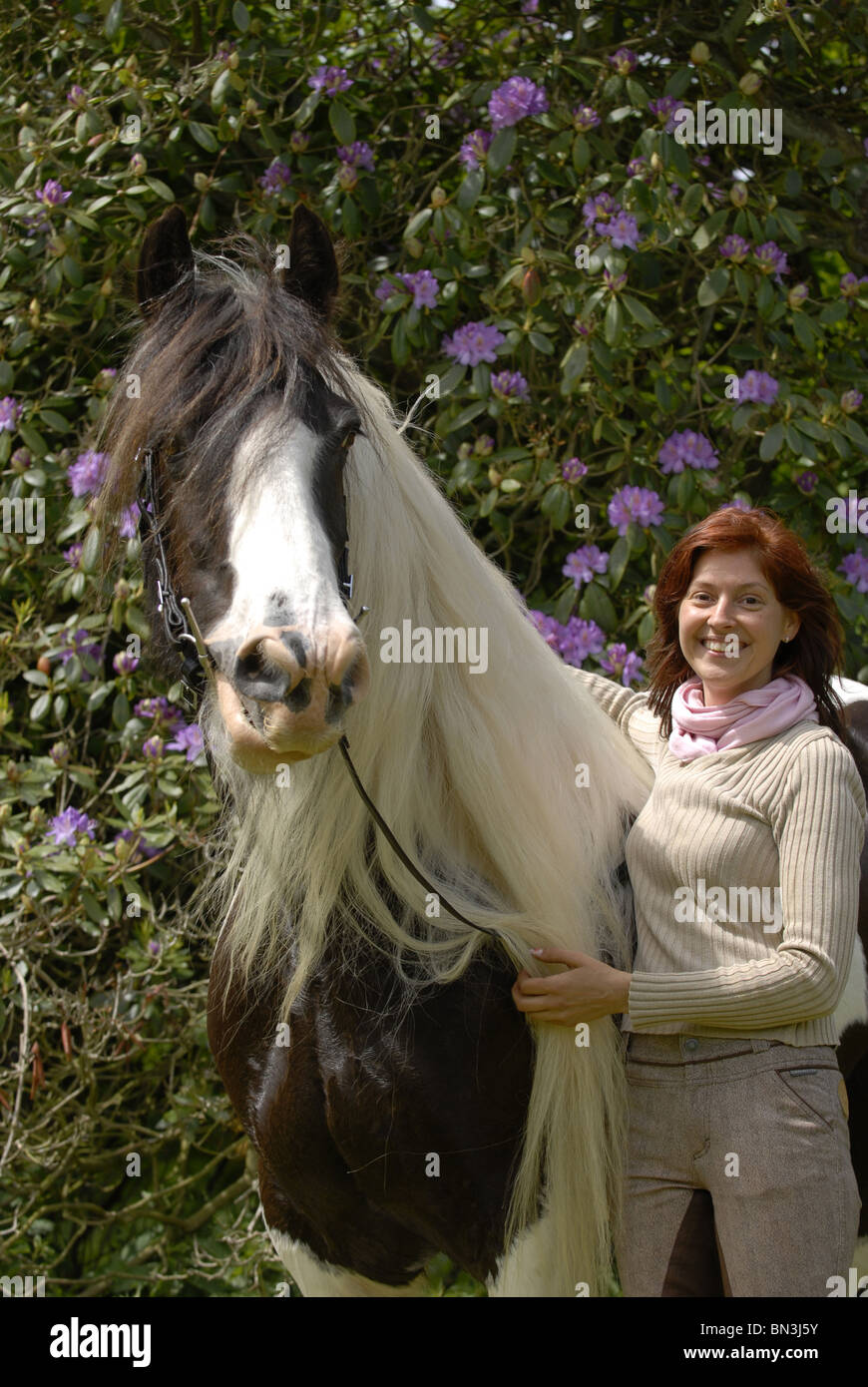 woman with Irish Tinker Stock Photo - Alamy