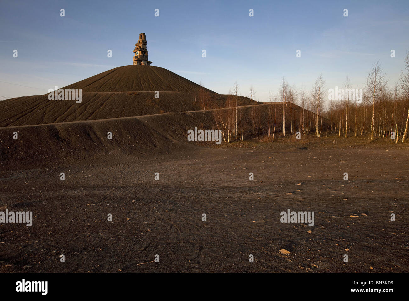Halde Rheinelbe, Gelsenkirchen, Ruhrgebiet, Germany, Europe Stock Photo ...