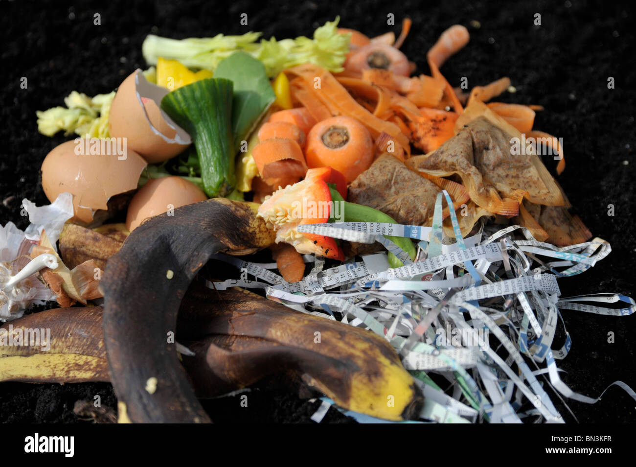 Eggshells, shredded newspaper, teabags, fruit and vegetable waste on a ...