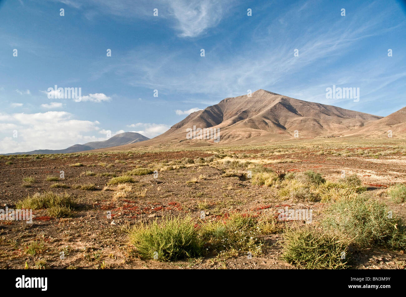Volcanic landscape, Lanzarote, Spain Stock Photo - Alamy