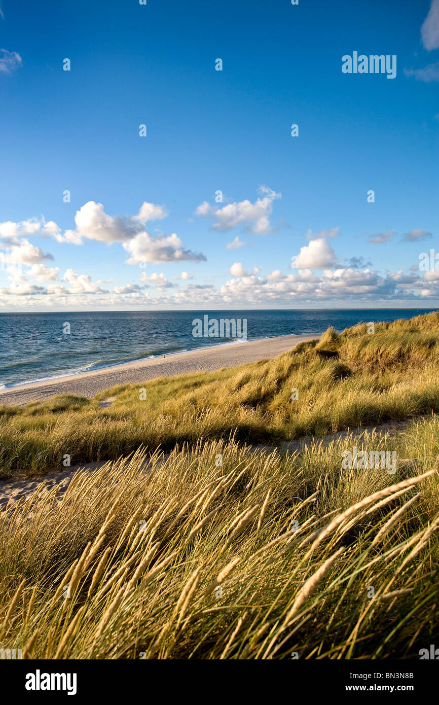 View of ellenbogen hi-res stock photography and images - Alamy