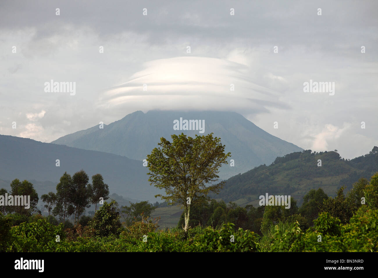 Virunga Volcanoes, Uganda, East Africa, Africa Stock Photo - Alamy