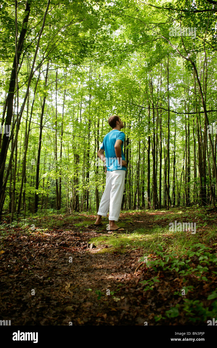 Man standing in a forest, low angle view Stock Photo - Alamy