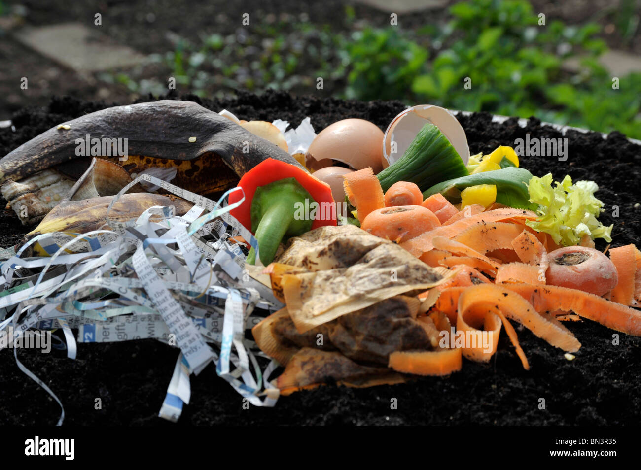 Fruit and vegetable waste on a garden compost heap Stock Photo - Alamy