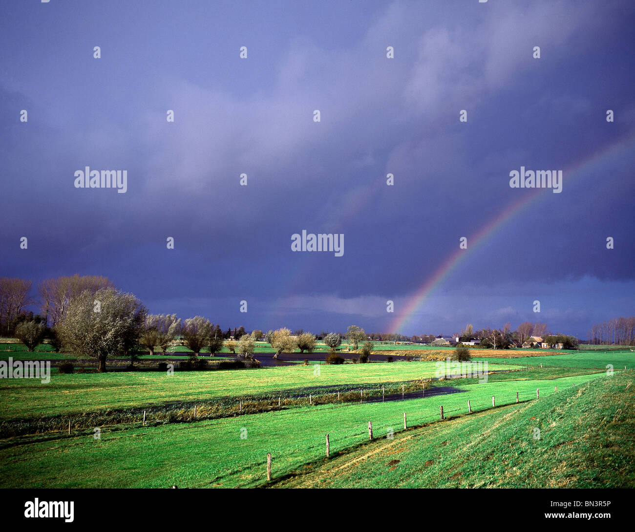 Rainbow over field Stock Photo - Alamy
