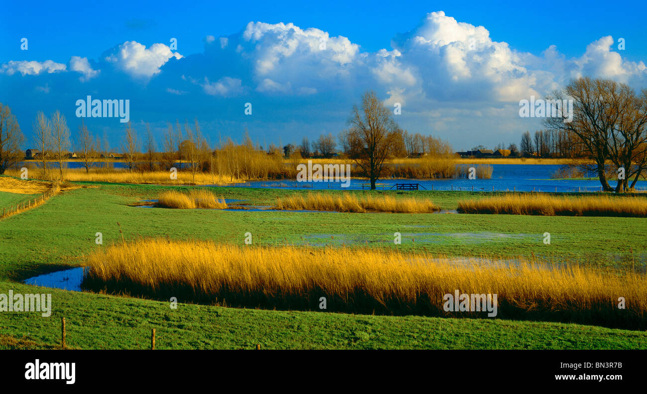 River flowing through field Stock Photo - Alamy