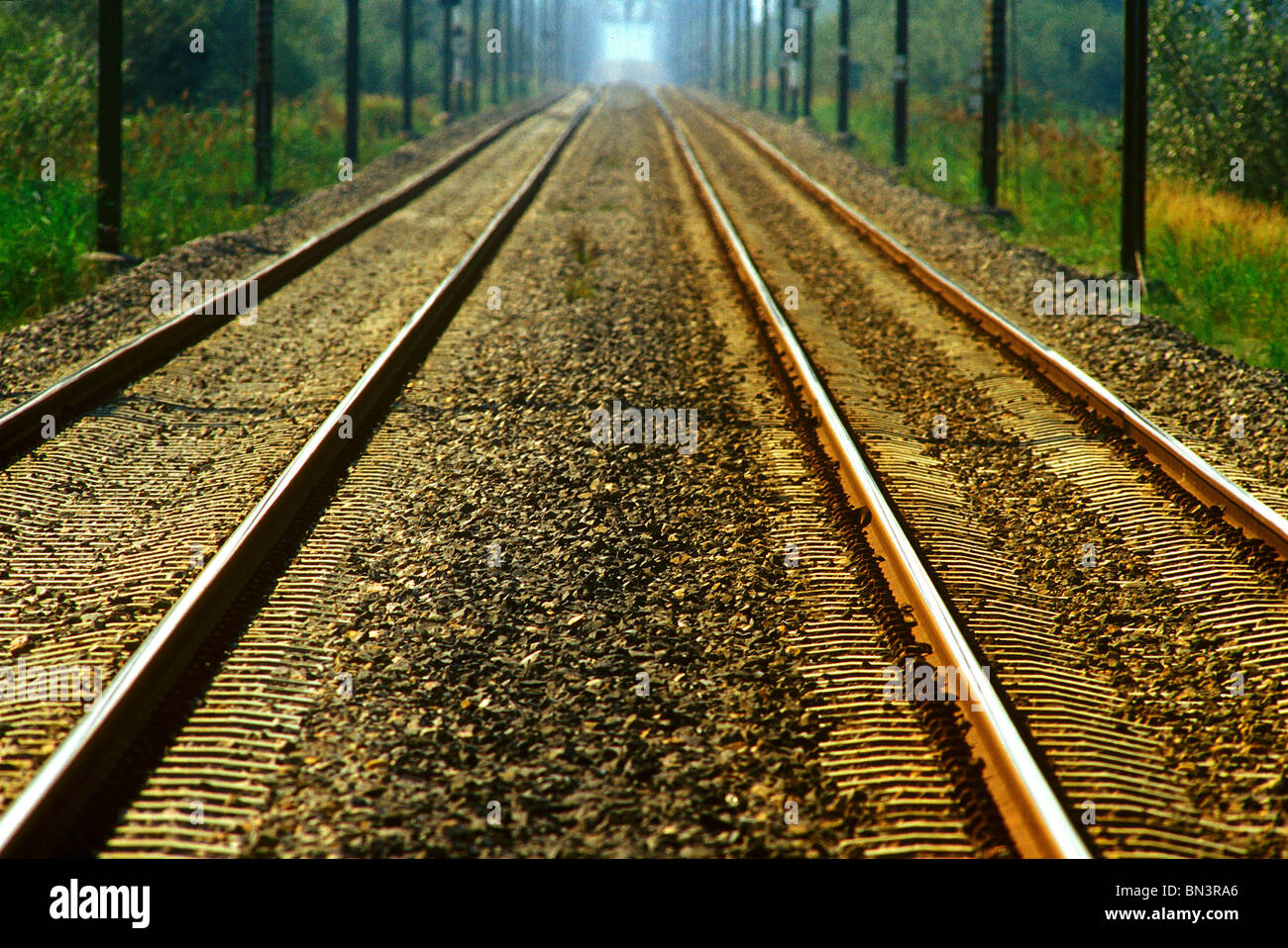 Railroad track running through field Stock Photo - Alamy