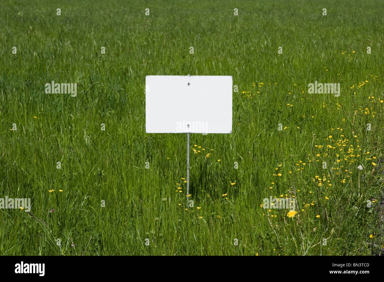 empty sign plate Stock Photo - Alamy