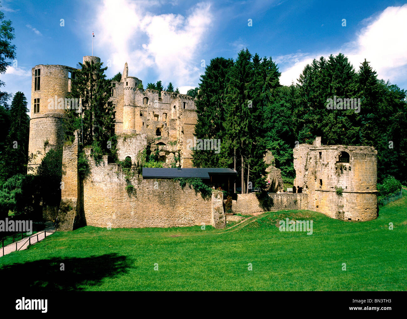 Trees in front of castle Stock Photo - Alamy
