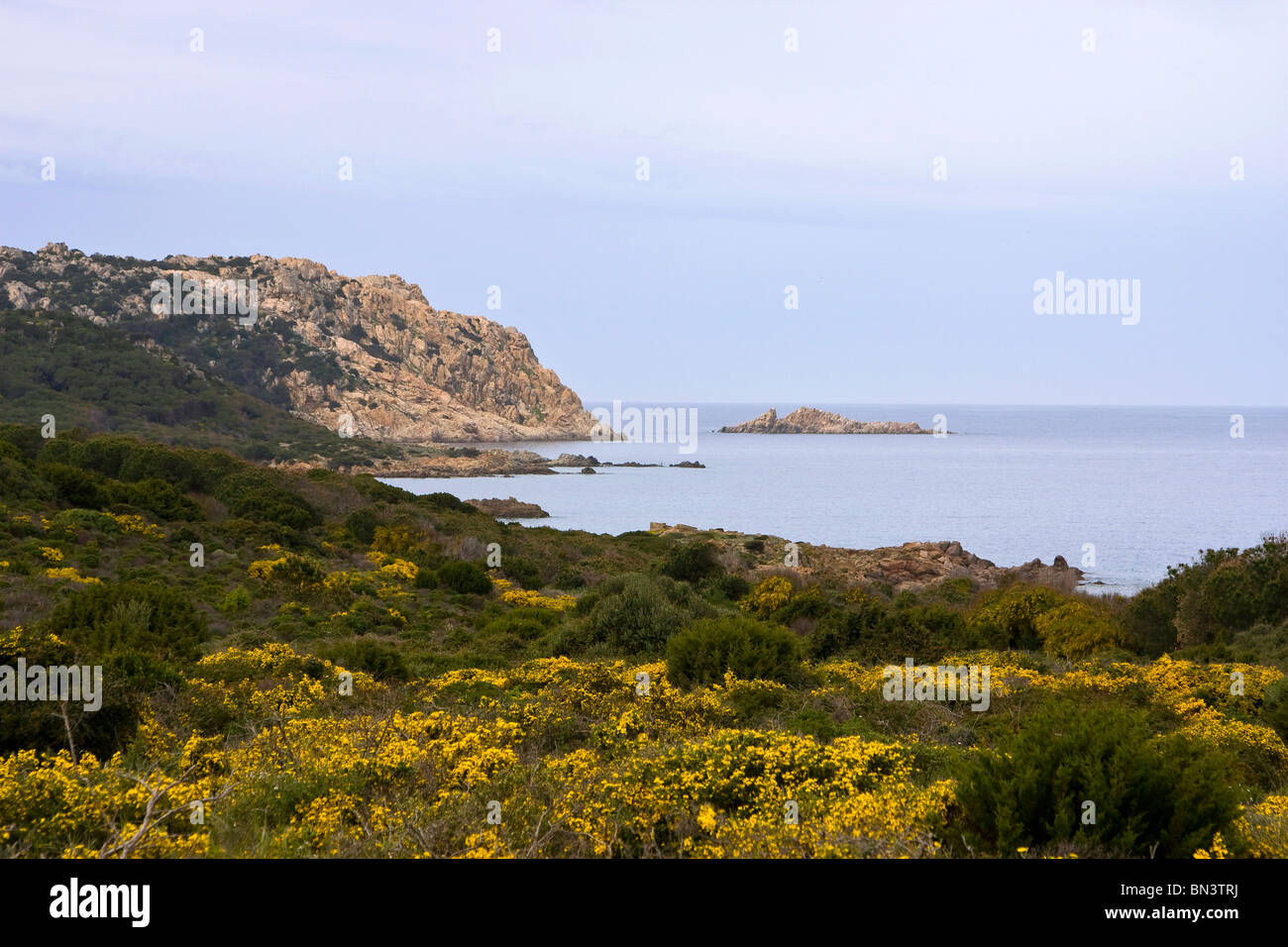 Sea coast bushes hi-res stock photography and images - Alamy