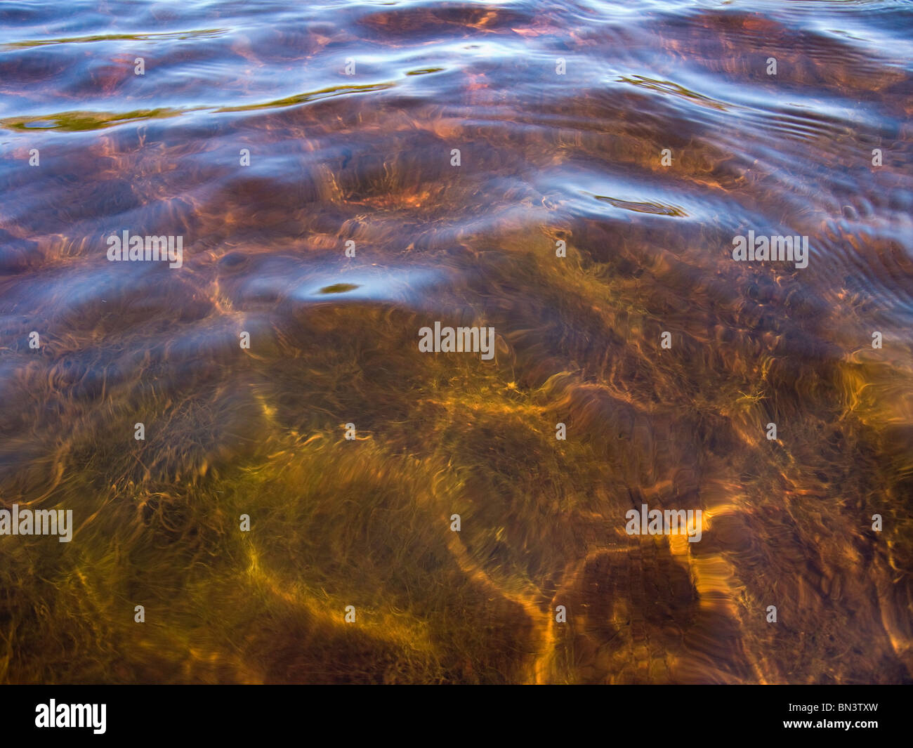 Light reflect in ponds hi-res stock photography and images - Alamy