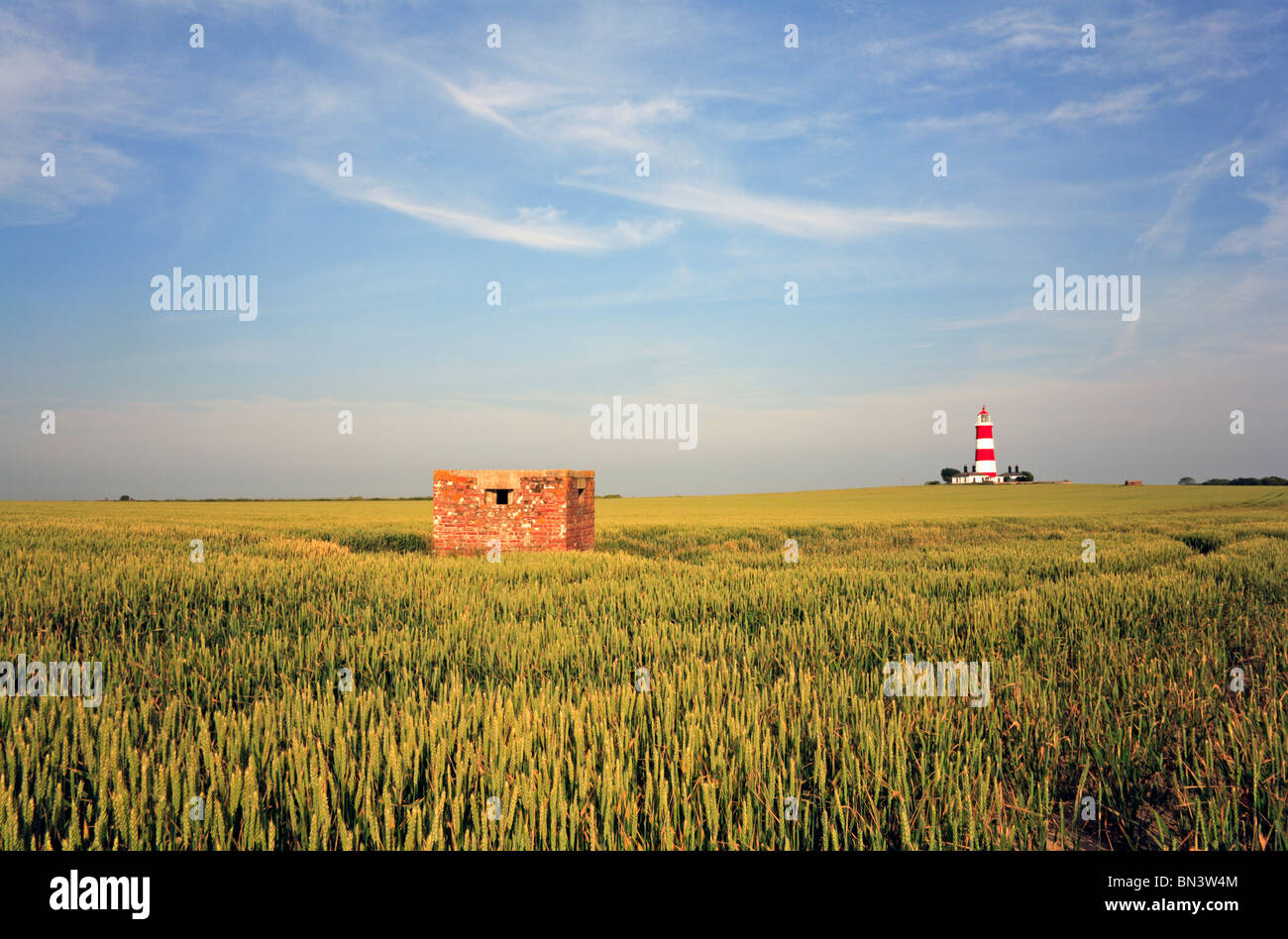 Second World War pillbox in a wheat field at Happisburgh, Norfolk ...
