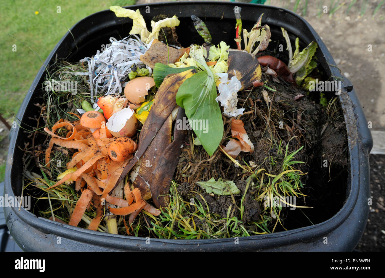 Garden composter with green and kitchen waste Stock Photo - Alamy