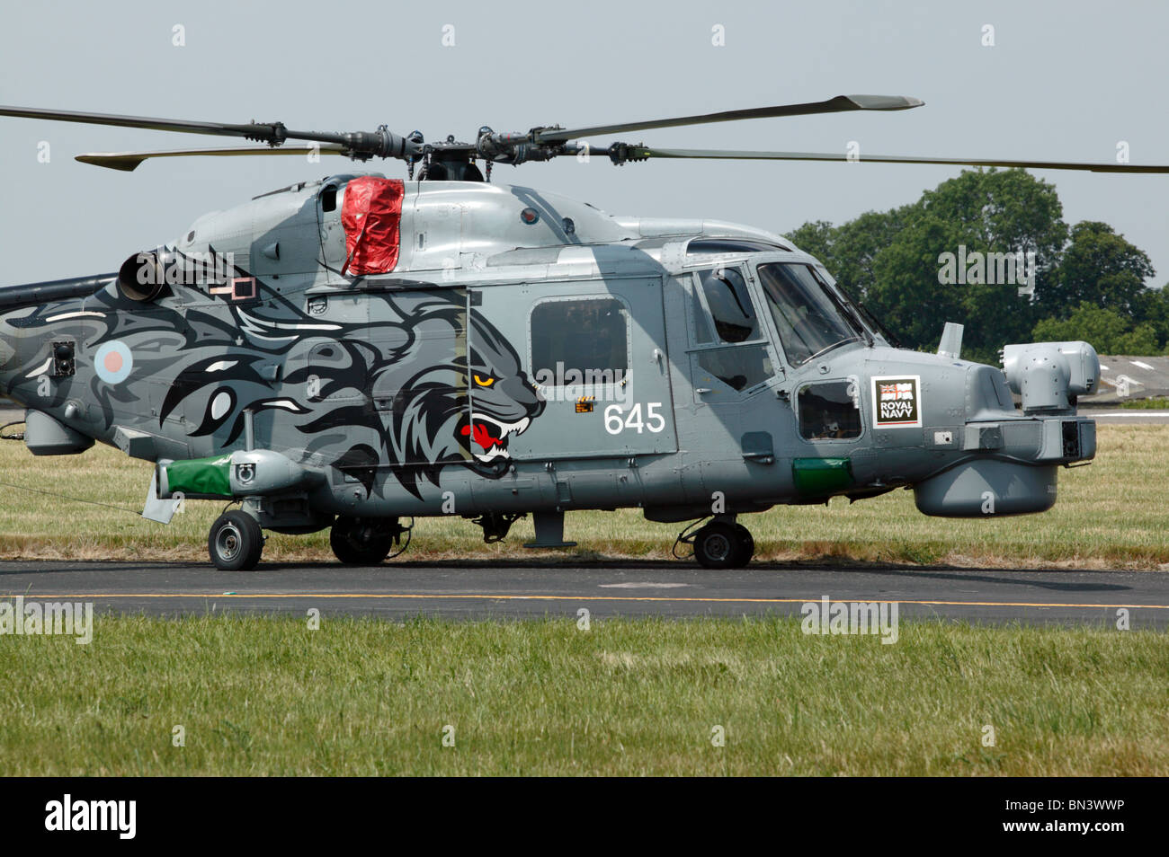 Lynx display hi-res stock photography and images - Alamy