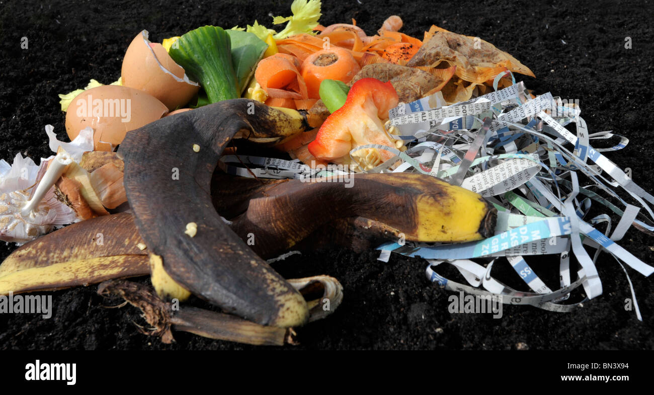 Variety of waste materials such as eggshells, newspaper and vegetable ...