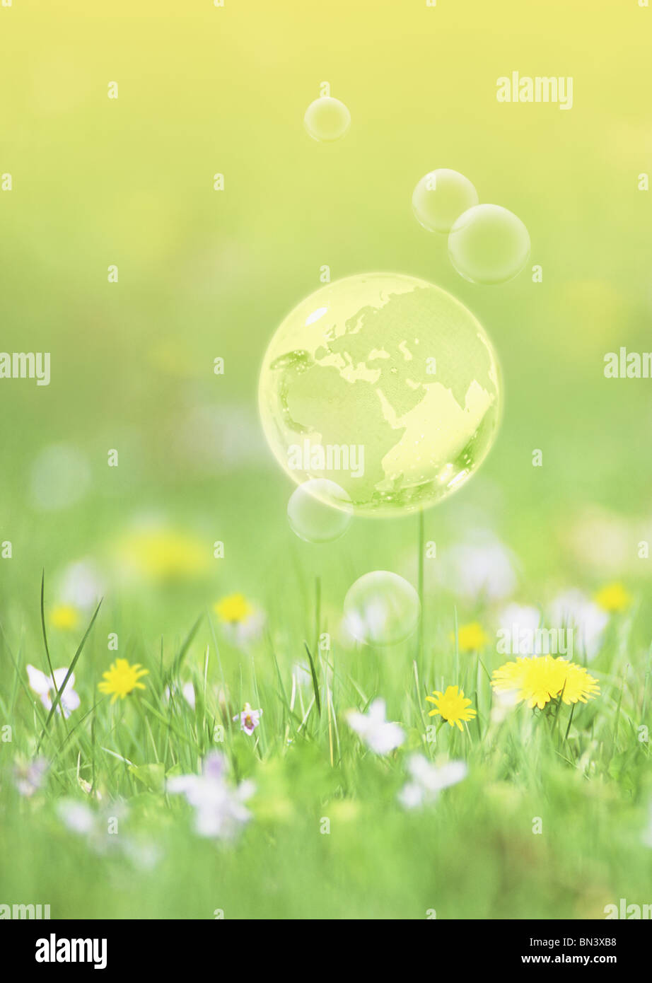 Field of flowers and earth Stock Photo - Alamy