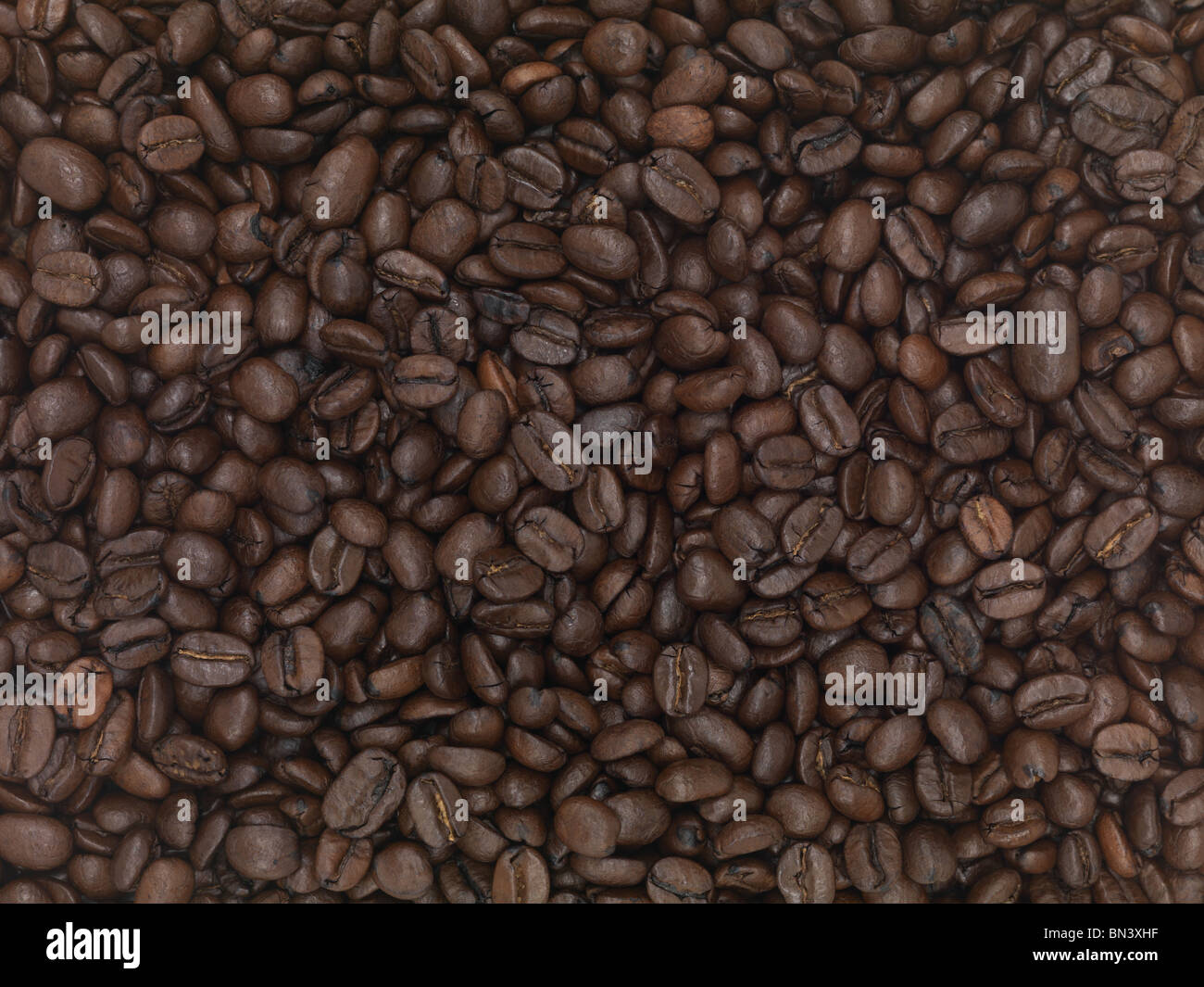 An up close shot of coffee beans Stock Photo - Alamy