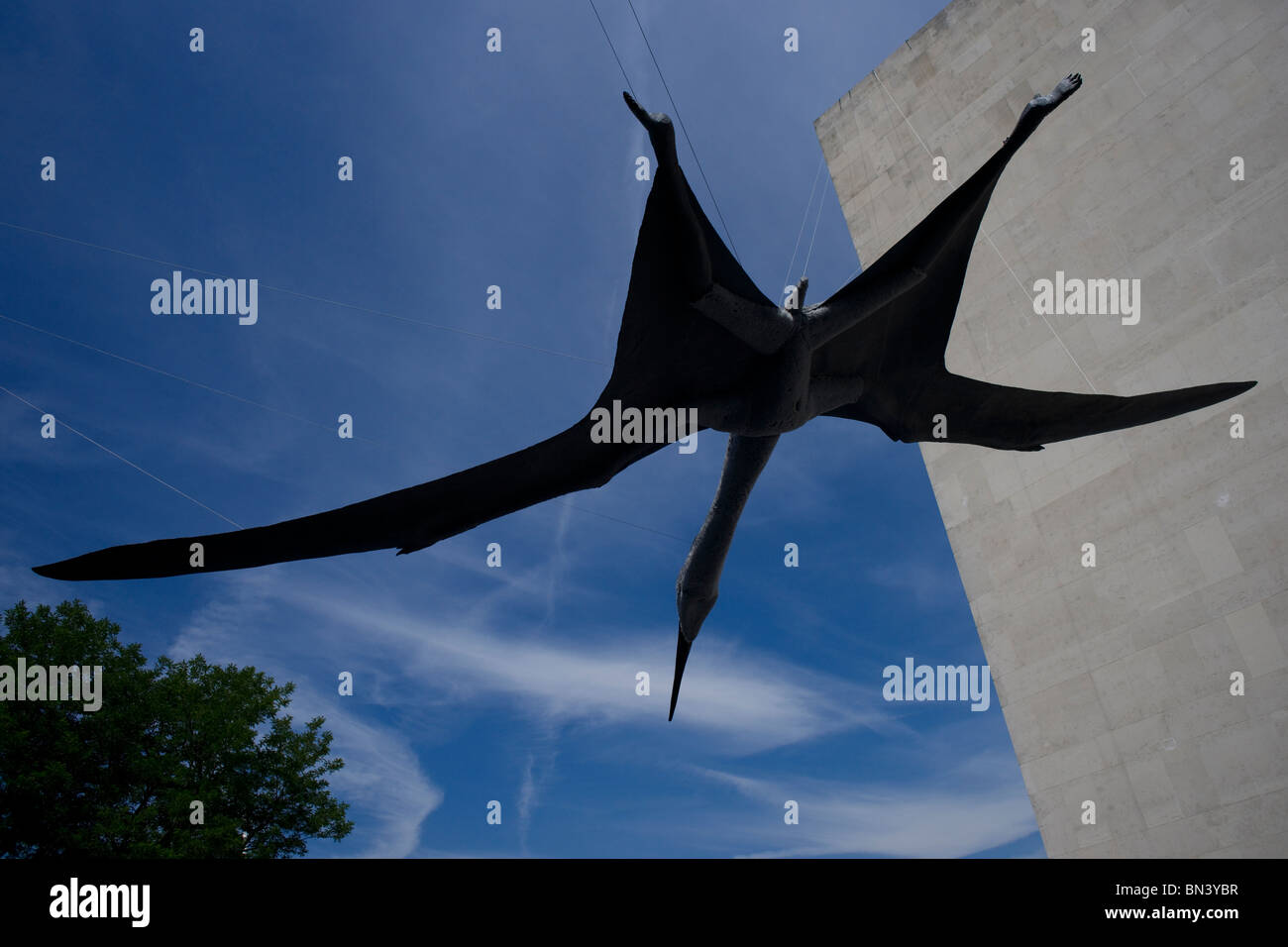 Pterodactyl models at London's South Bank Stock Photo - Alamy