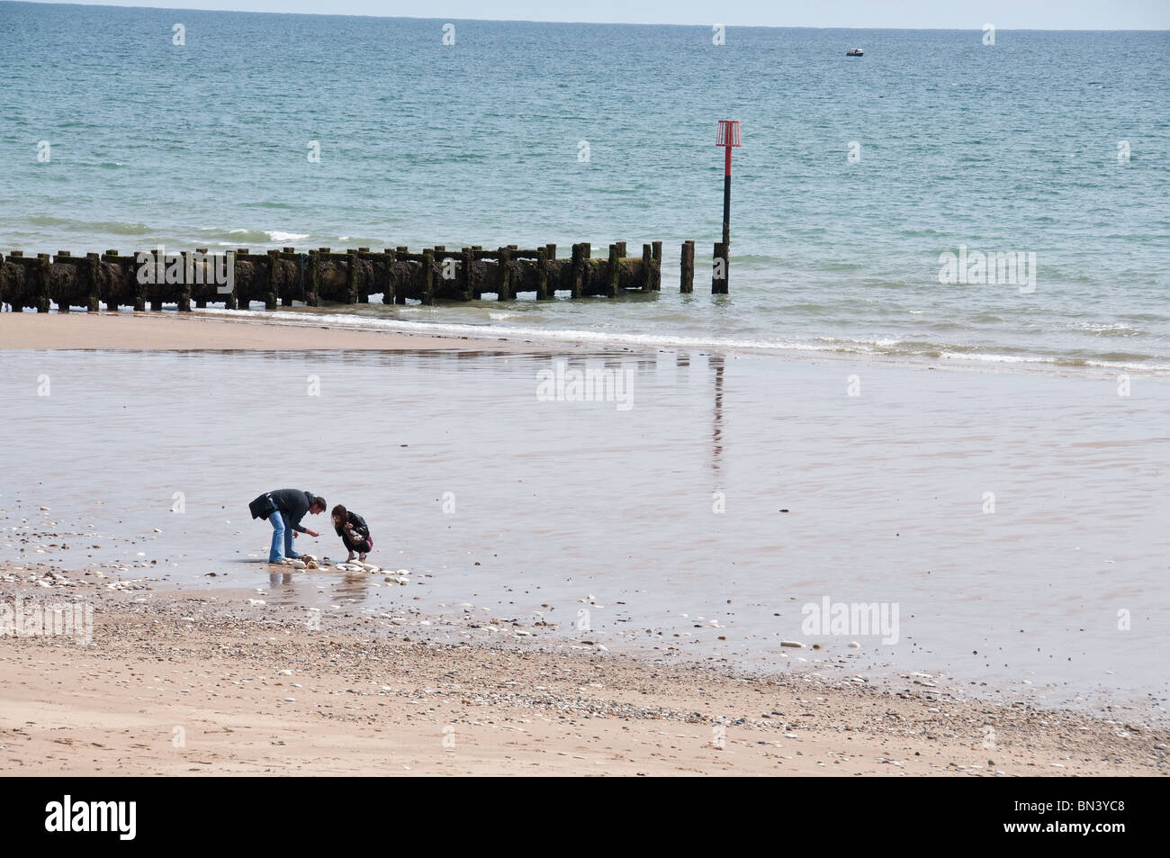 Shell hunting on beach Stock Photo - Alamy
