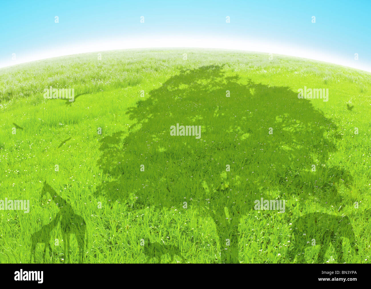 Animals in grassland Stock Photo - Alamy