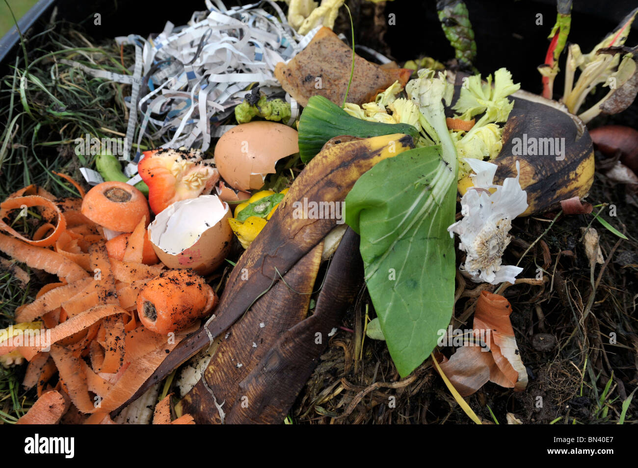 Fruit and vegetable waste in a home composter Stock Photo - Alamy