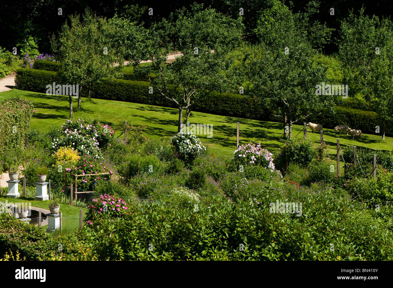 Summer view of Painswick Rococo Garden in The Cotswolds Stock Photo - Alamy