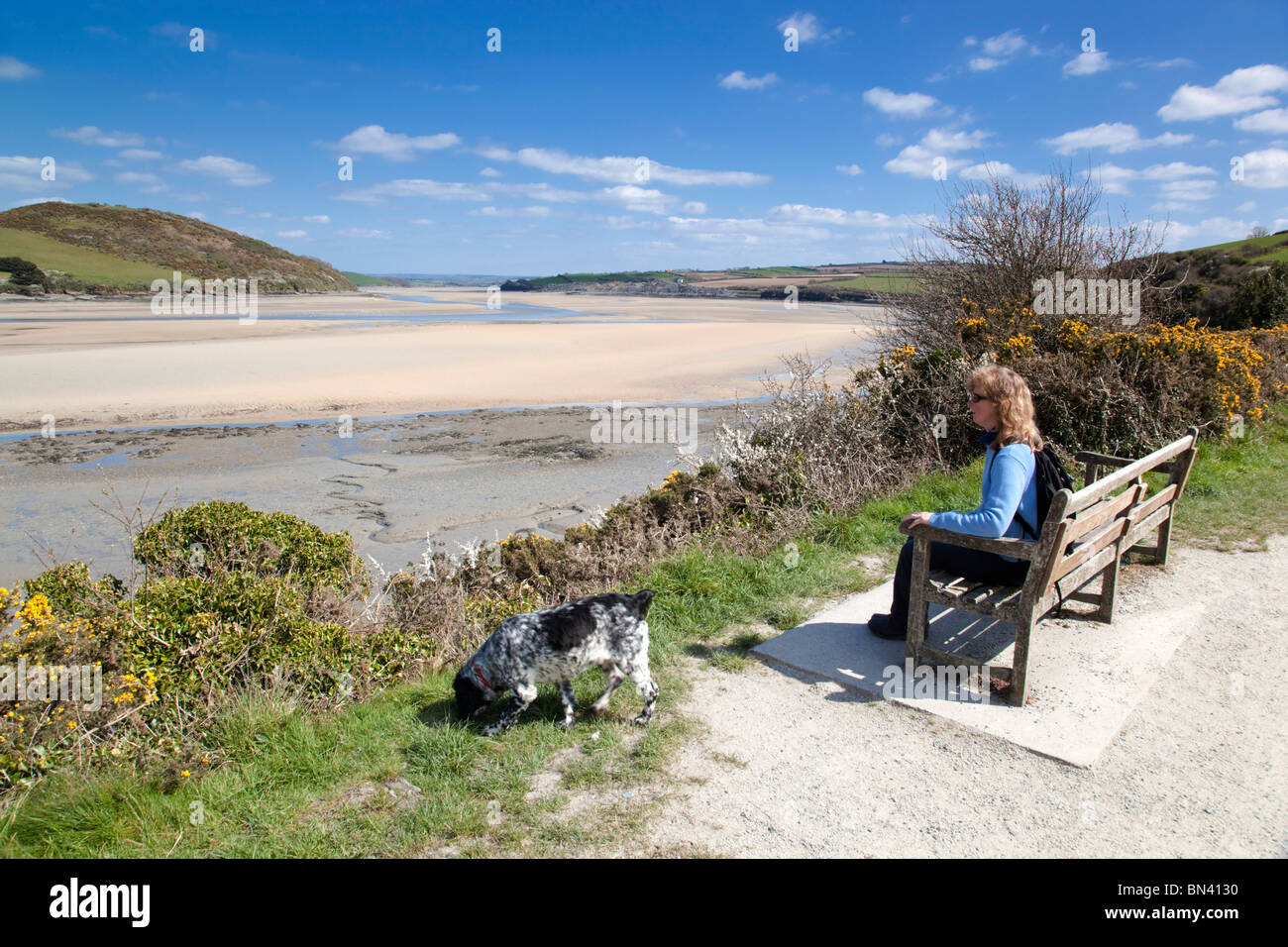 Camel Trail; near Padstow; Cornwall Stock Photo - Alamy