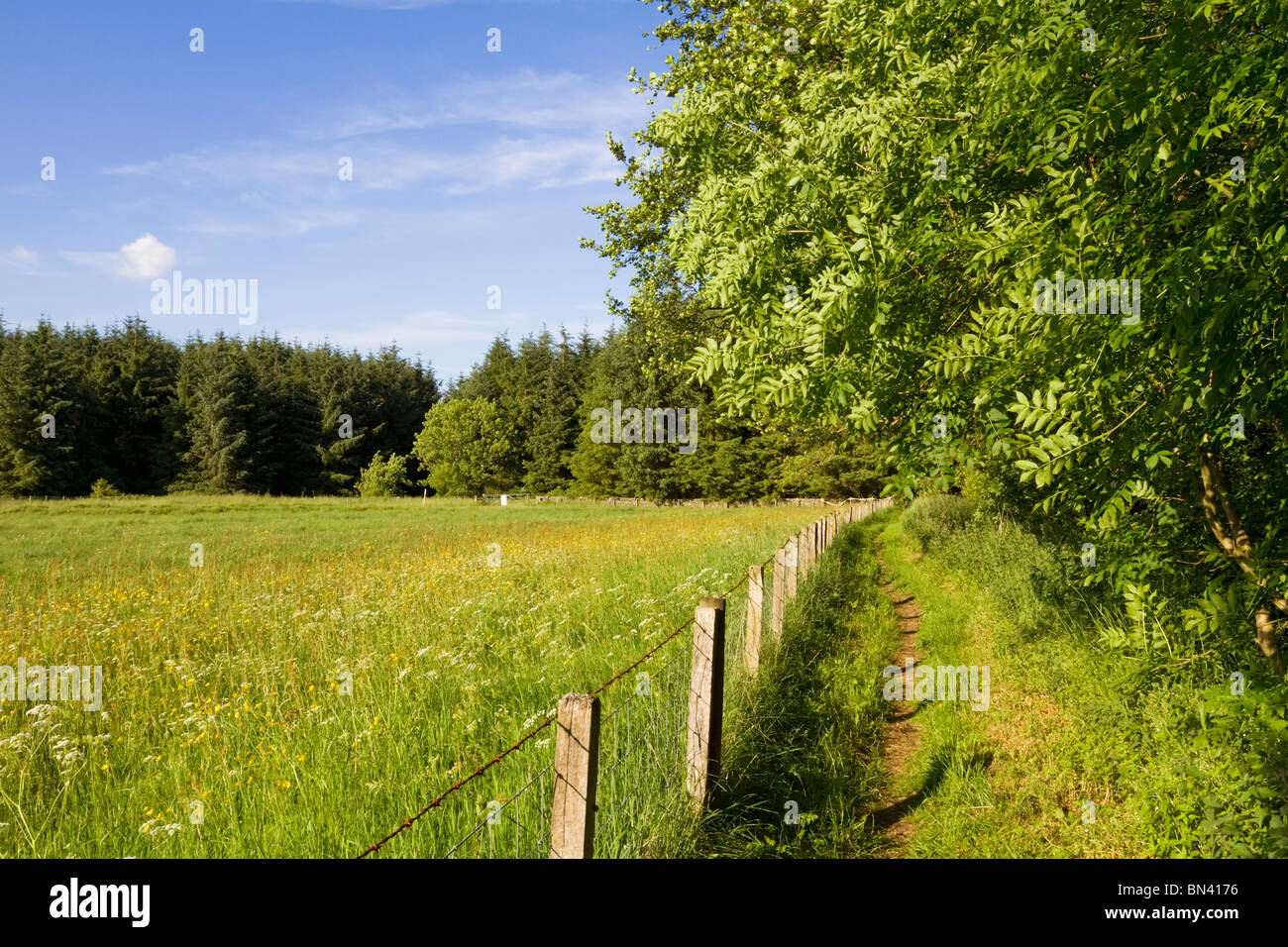 The Weardale Way between Witton Park and Witton Castle in the Wear ...