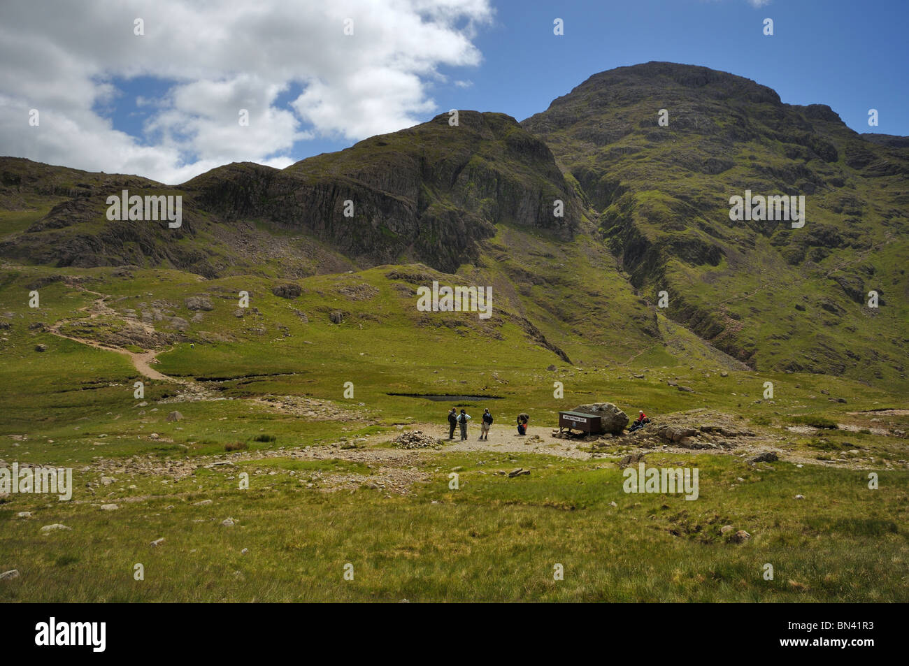 Sty head hi-res stock photography and images - Alamy