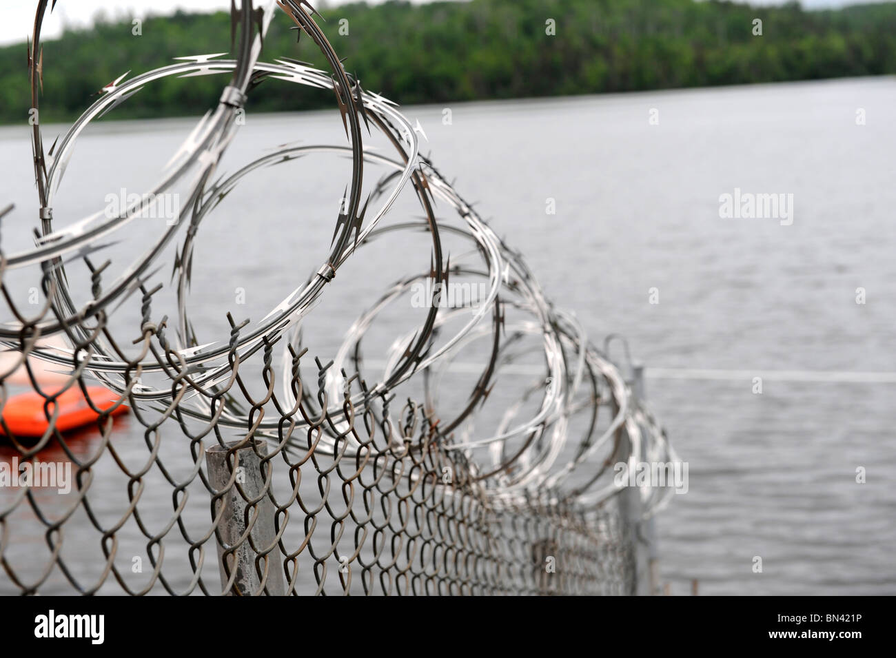 Barbed Wire on Fence Stock Photo - Alamy