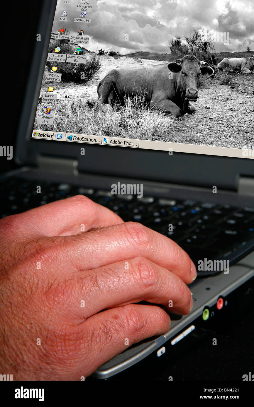 Fotografias e imagens hi-res stock photography and images - Alamy