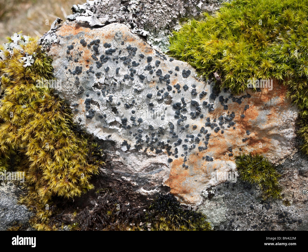 Rock isle hi-res stock photography and images - Alamy