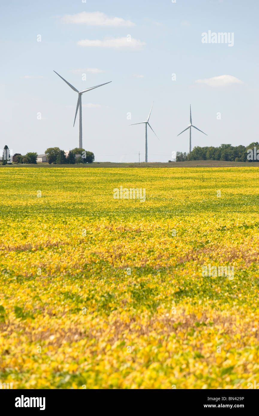 wind windmill mill generate generating generator Balance Conservatism ...